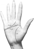 What Does Freckle On Palm Of Hand Mean? | PhoenixCroats